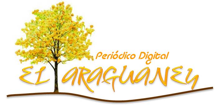 IMAGEN ARAGUANEY VECTOR - Imagui