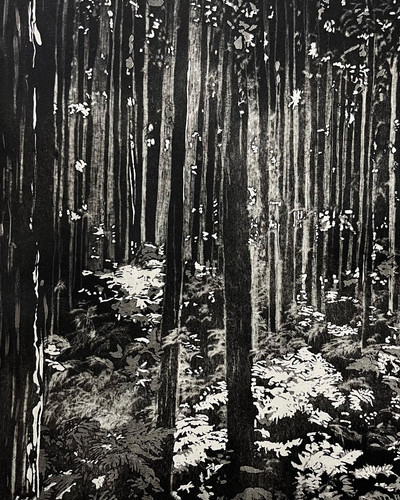 Printmaking: Blue Gum Forest | Debray Art