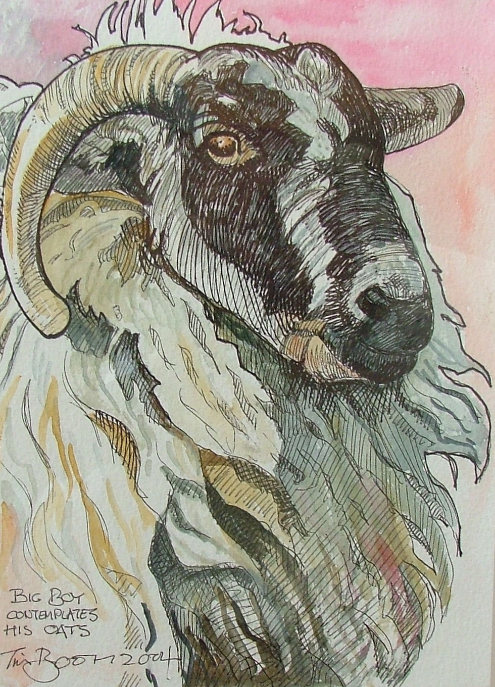 Ilustration and watercolour. | tim-booth-artist