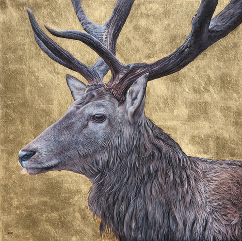 Drochon | Galerie langelus