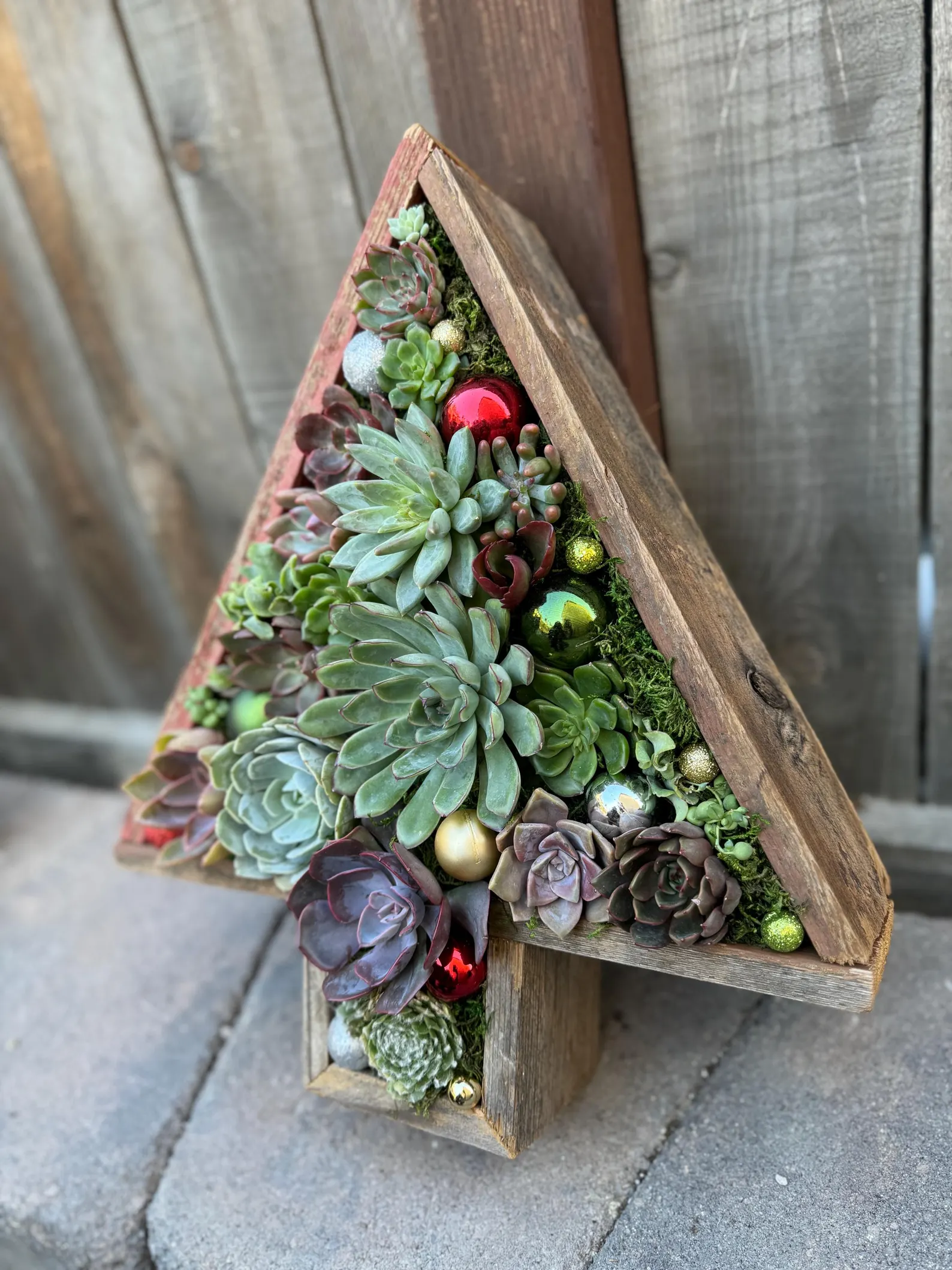 Holiday Succulent Tree | Ily the Plant Lady