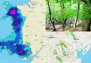 UK Tree & Forest Maps | Reforest Britain