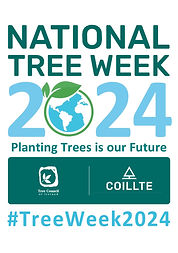 Tree Council of Ireland, Tree Register of Ireland, Tree Conservation