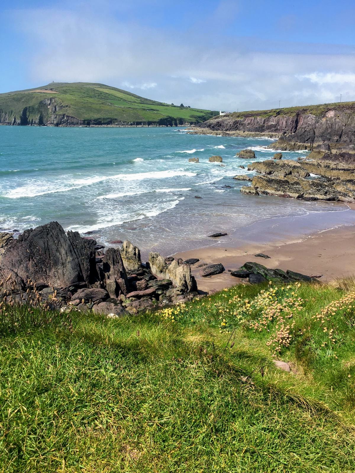 Tree Council of Ireland, Tree Conservation, Tree Management