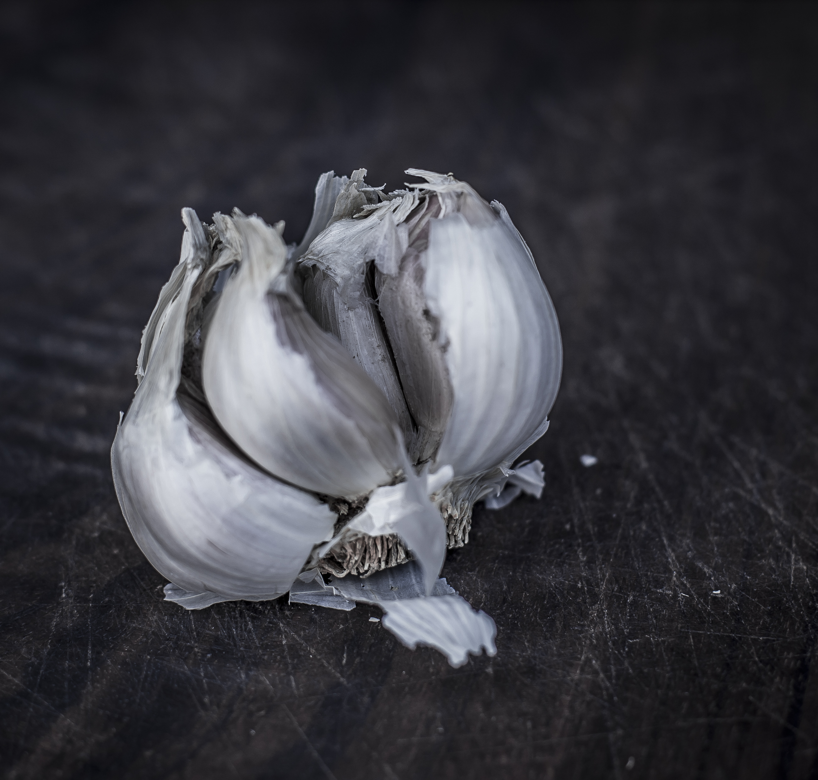 Still Life / City Life | ainophotography