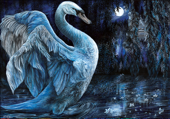 Art | Kim Fowler Illustration | Nottingham