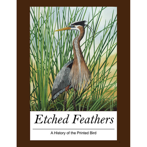 "Etched Feathers" | john-costin