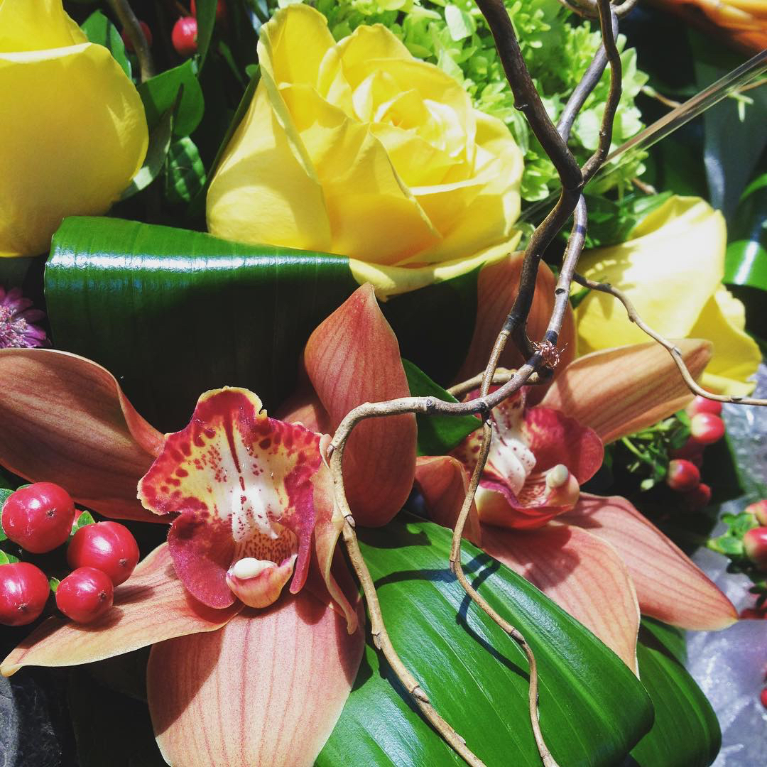 Élysée Fleurs, Fleuriste à Québec