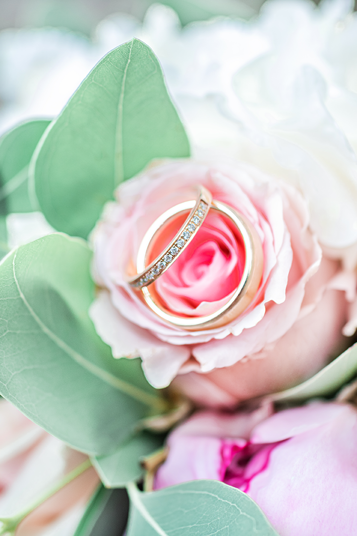 Amy-Jean Goldsworthy Photography