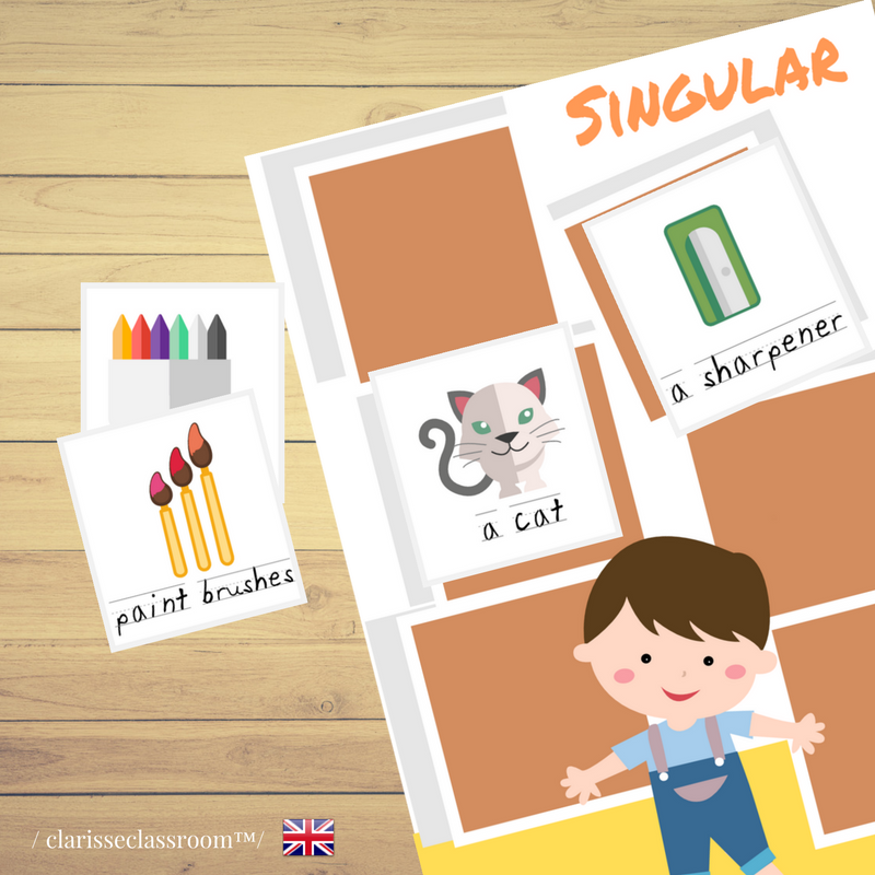 Freebie ! Learn Singular and Plural Nouns ! Sorting Game