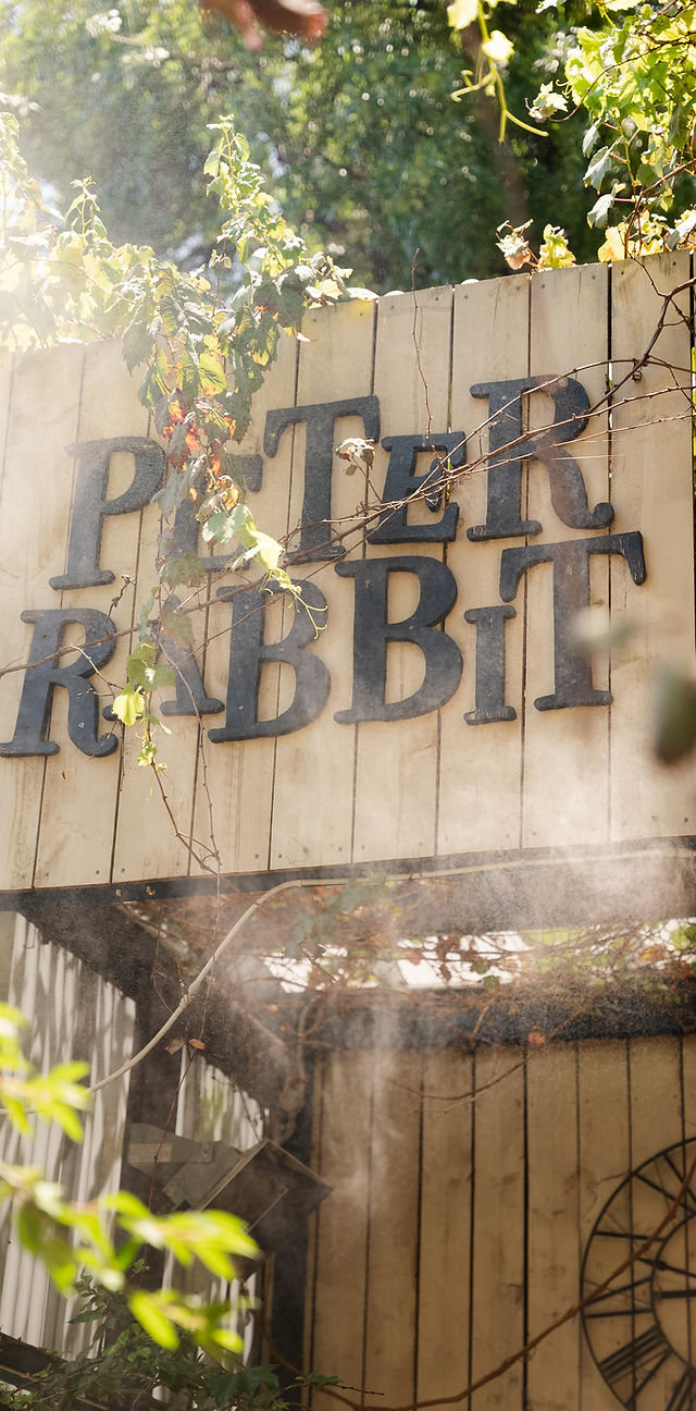 peter rabbit cafe