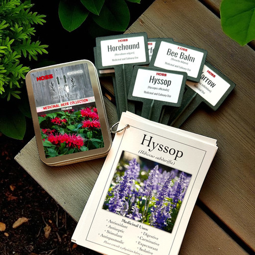 Premium Medicinal Herb Seed Collection | Just Dig It Farms