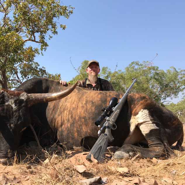 2018 Scrub Bull Gallery | True Wild Outfitters