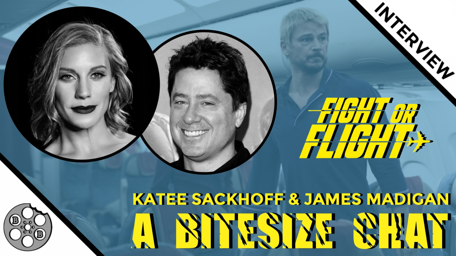 FIGHT OR FLIGHT TEAM | Bitesize Breakdown