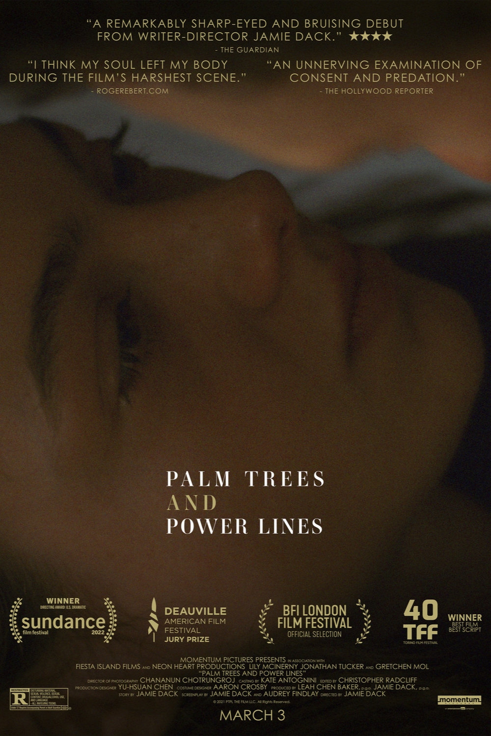 PALM TREES AND POWER LINES