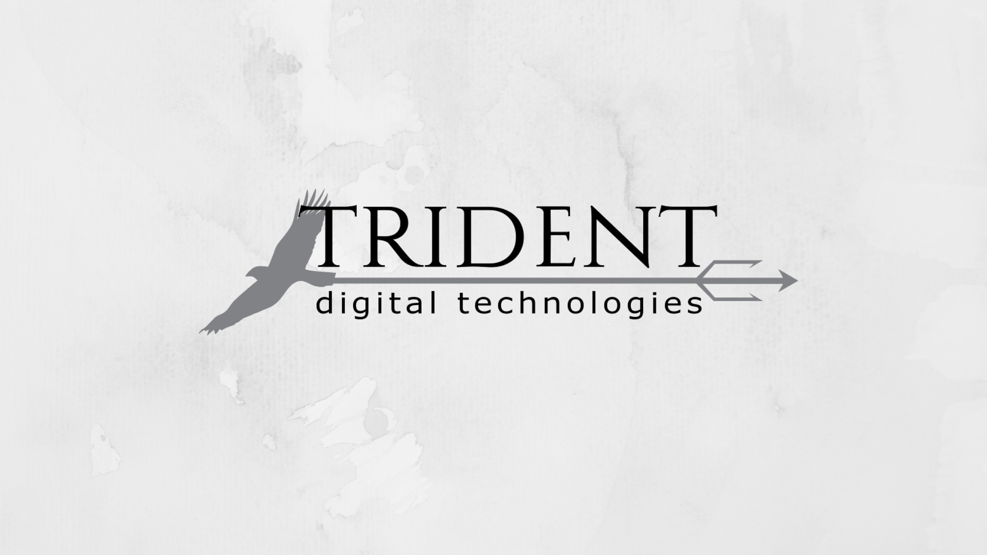 Trident Digital Technologies | DFW | Contact