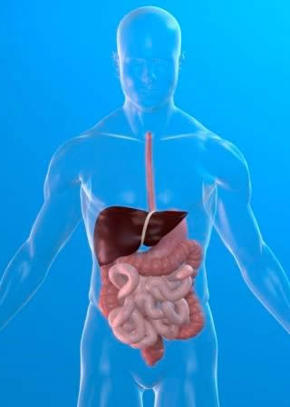 Colonic Irrigation | Colchester Clinic - Colon Hydrotherapy & Nutrition