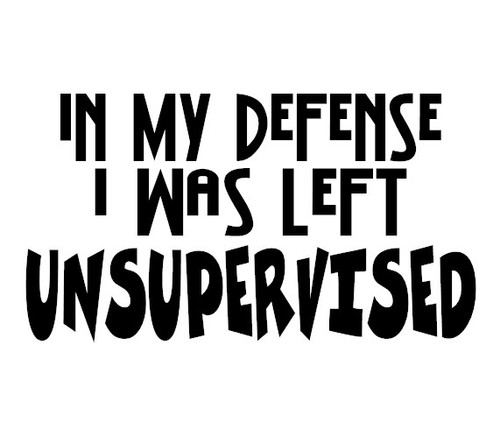 In My Defense I Was Left Unsupervised Decal | Check Custom Design