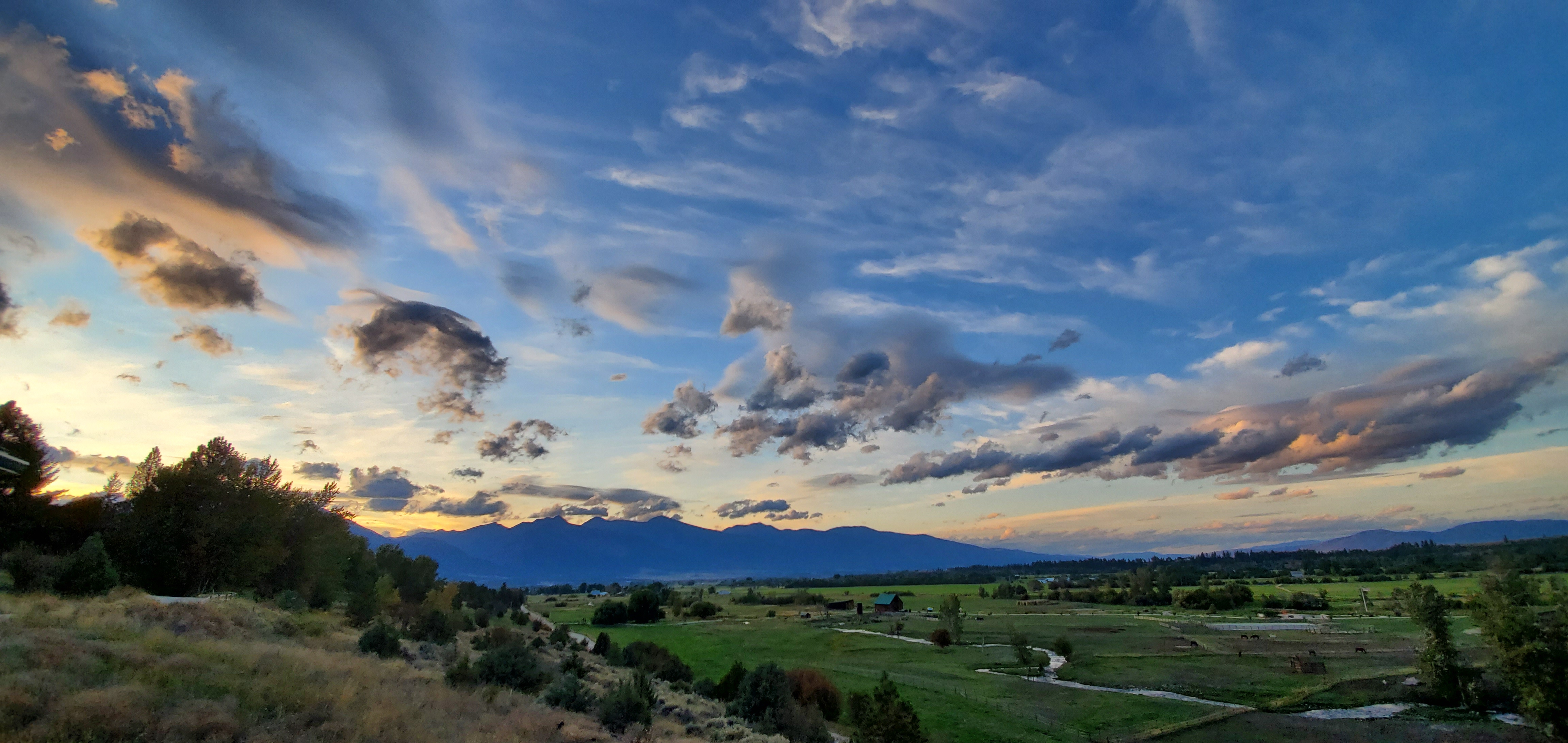 Photo Gallery | SWRCattle