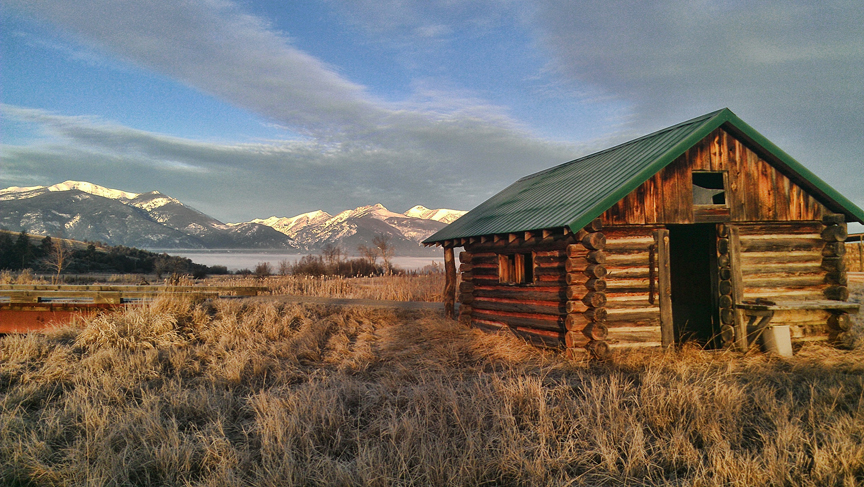 Photo Gallery | SWRCattle