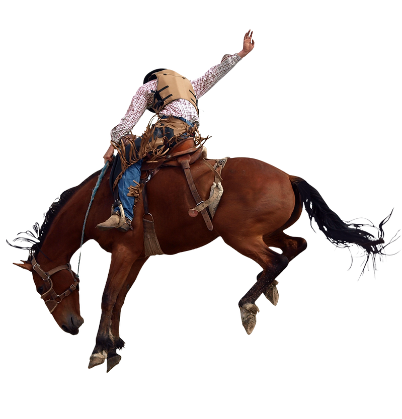 Home | Kuna Stampede Rodeo