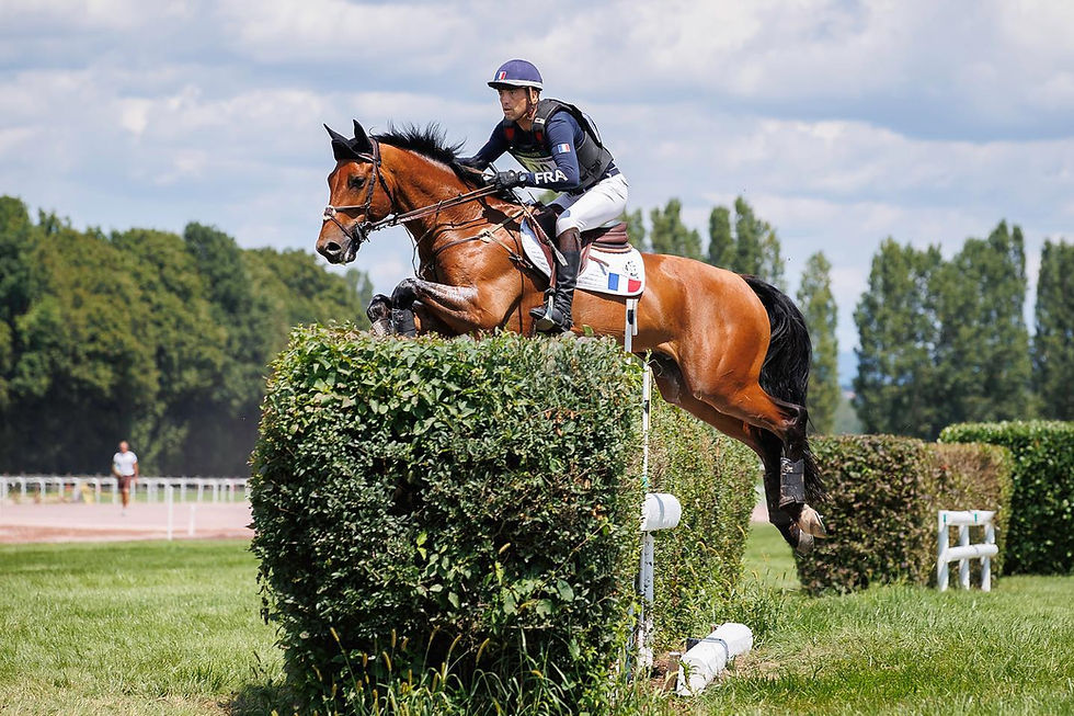 Nouvelle liste ministérielle 2024 des cavaliers de haut niveau (CCE)