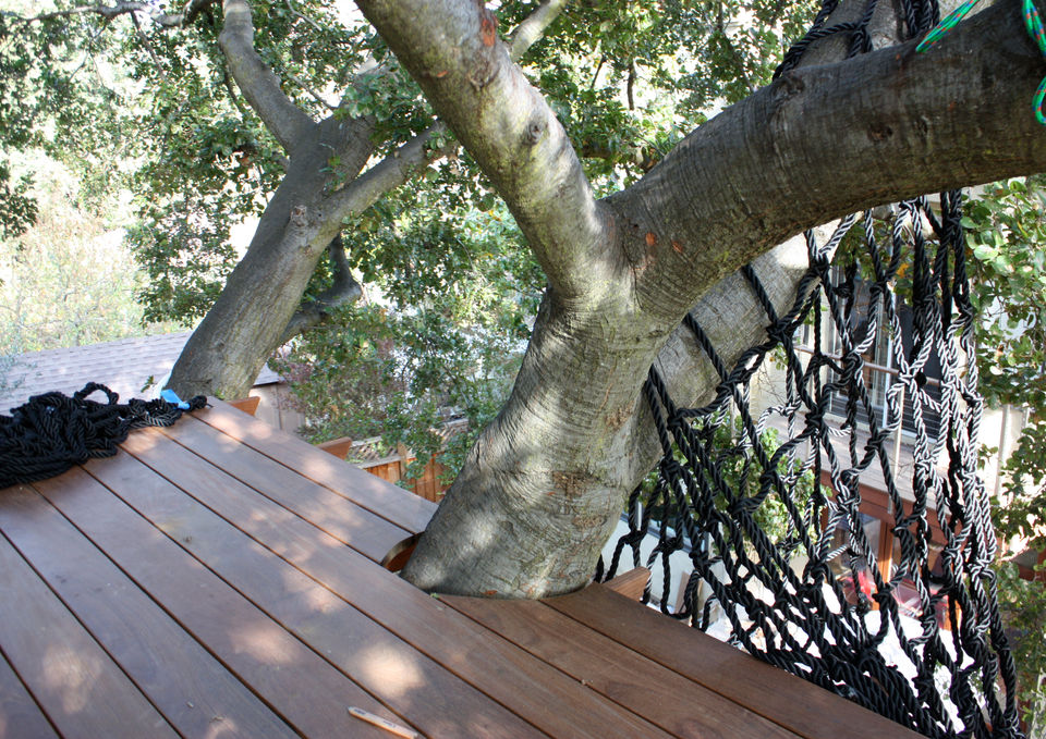 tree house | hbv.architecture