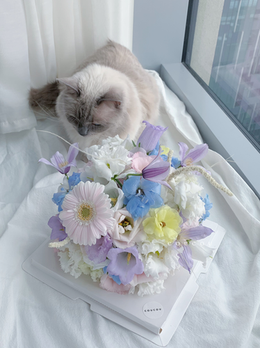 Coucou Floral Cake - Candy Wrappers | Coucou Flora