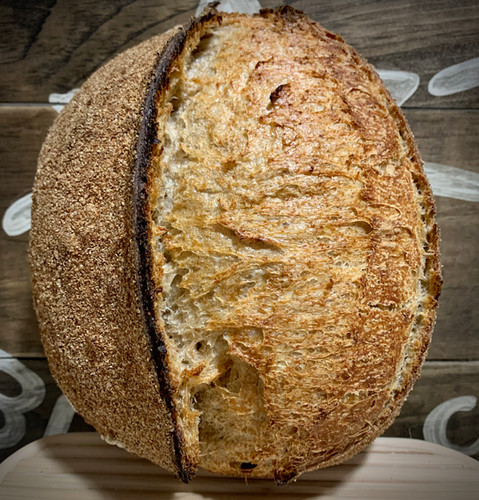 50/50 Whole Wheat Sourdough | Morningstarbreadco