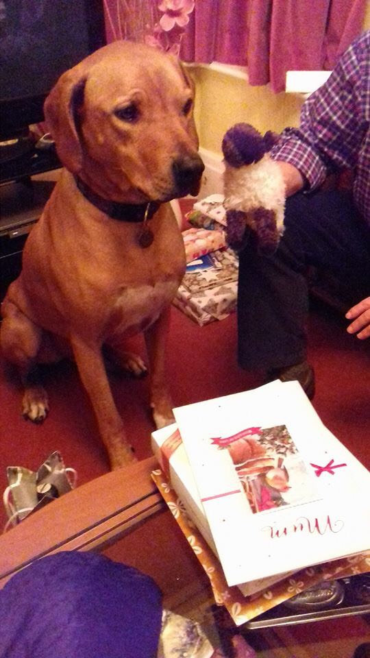 Review by Sally Griffiths