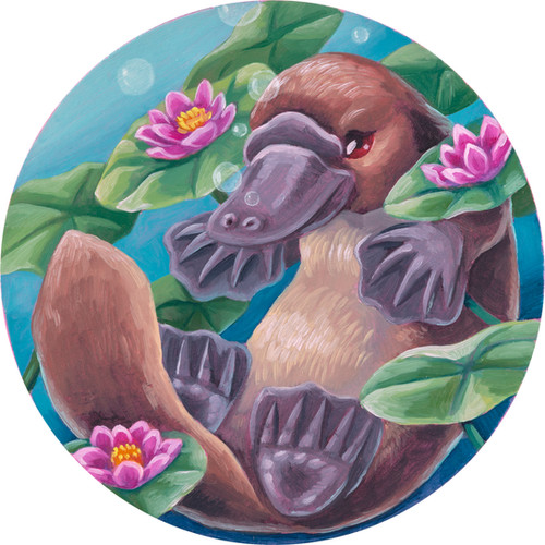 Petey the Platypus | Andrea Guzzetta