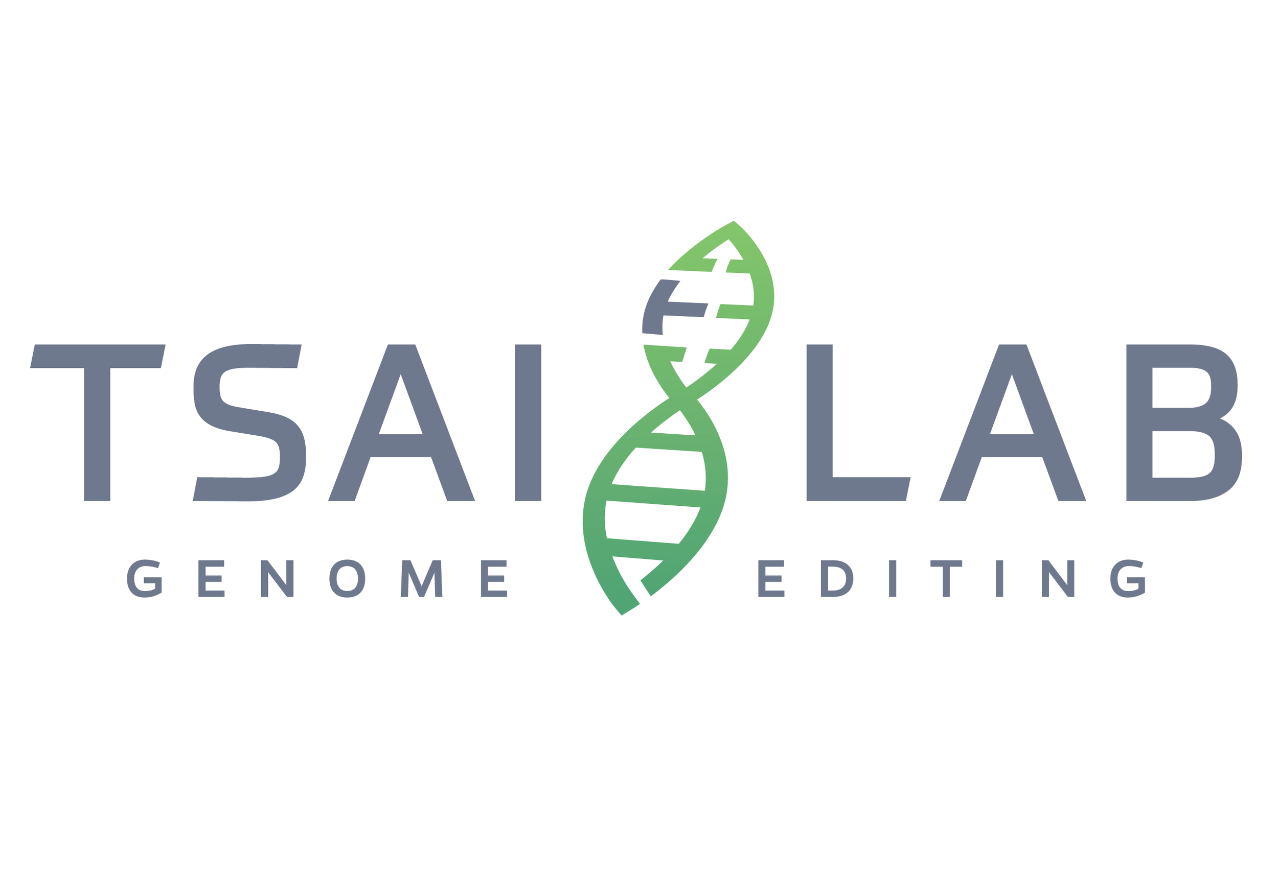 Shengdar Q. Tsai Lab @ St. Jude | Genome Editing | Memphis, TN, USA