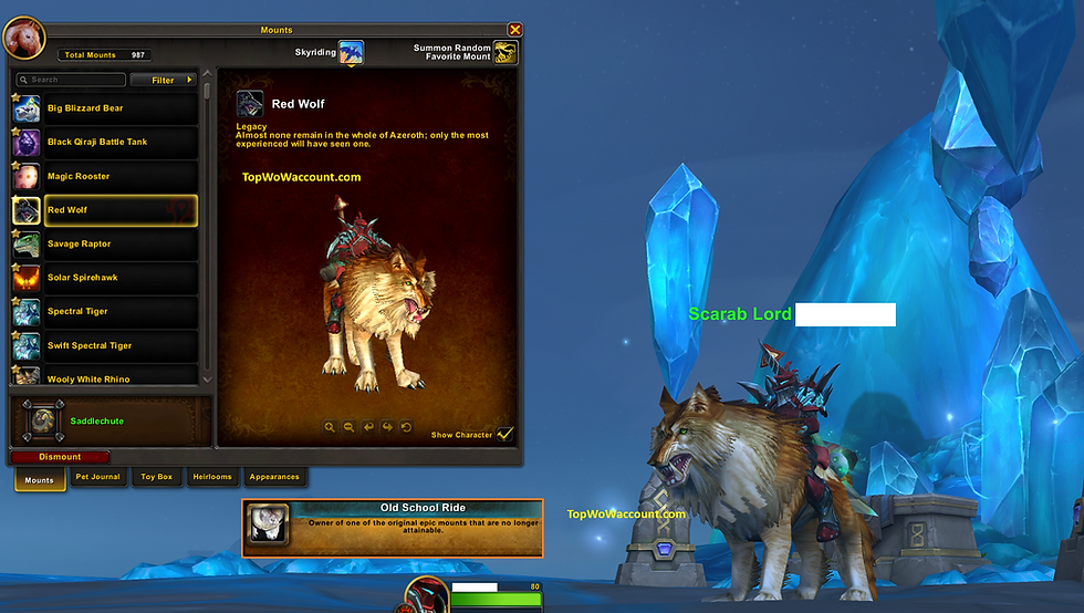 Best World of Warcraft Account for Sale | Scarab Lord, Corrupted ...