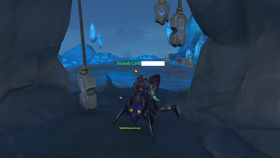 Best World of Warcraft Account for Sale | Scarab Lord, Corrupted ...