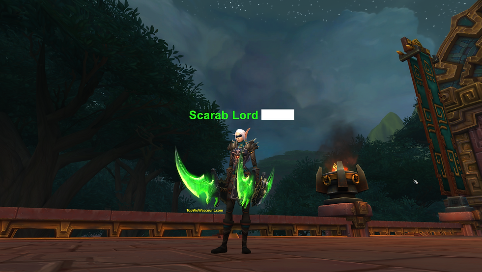 Best World of Warcraft Account for Sale | Scarab Lord, Corrupted ...