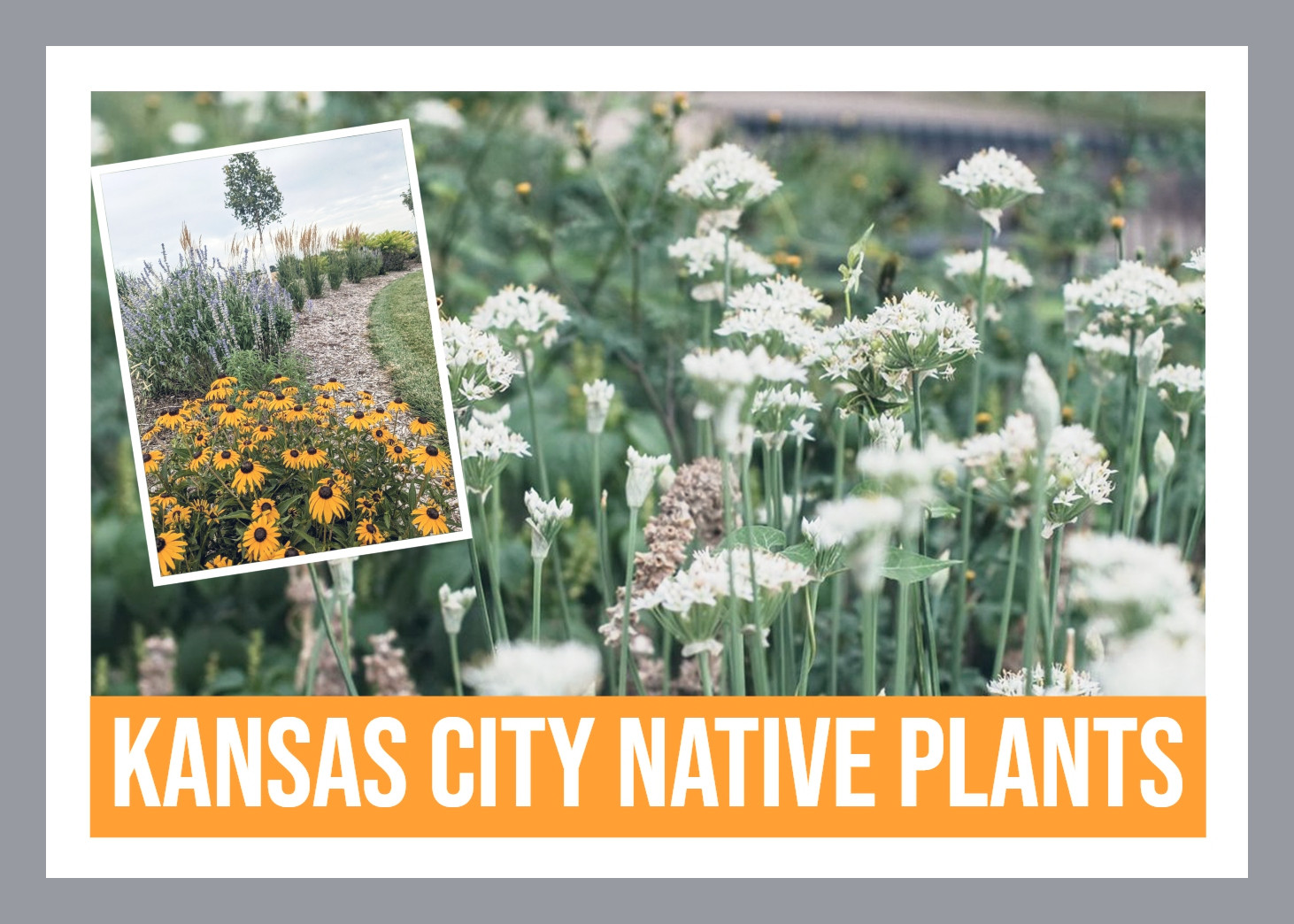 Kansas City Landscaping: Transform Your Outdoor Space with Native Plants