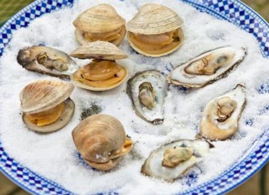 Long Island Sound Shellfish: A Backgrounder