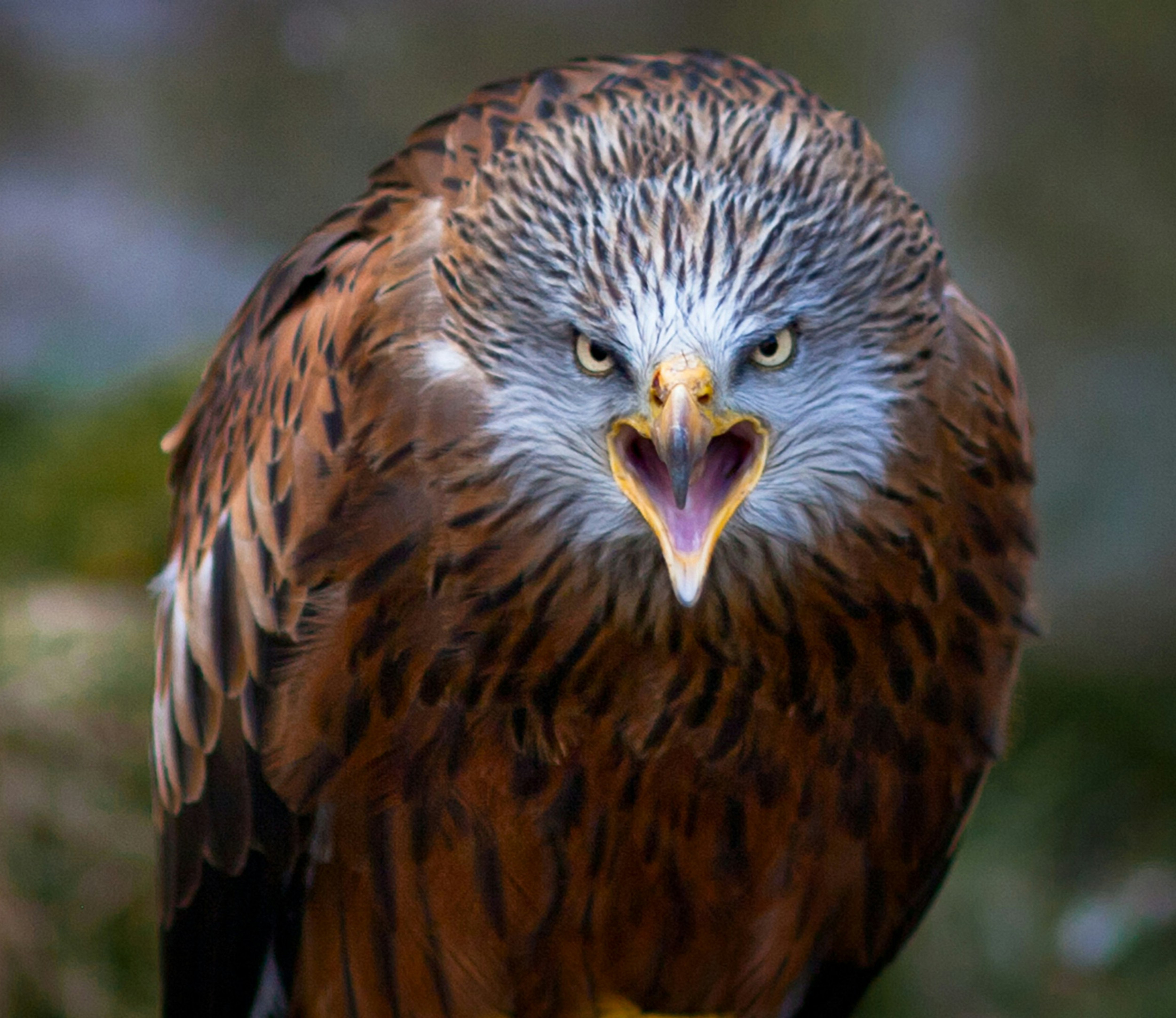 La Méditation de la Colère : Accueillir et canaliser cette émotion refoulée