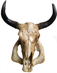 Kuhode / skalle med inngravering | Pentagon Army