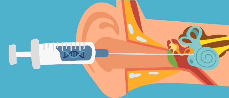 DFNB9: The first deafness ever treated by gene therapy | Scientia News