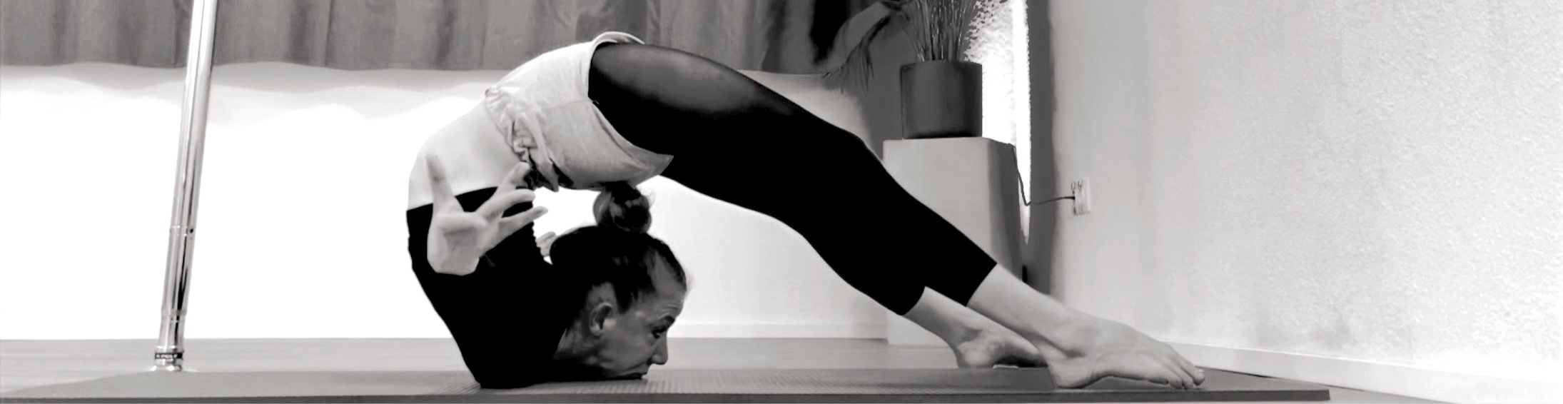 Zero Gravity Online - Contortion Training and Pole Dance Coaching