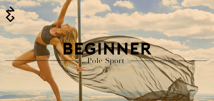 Beginner + Pole Level 1 (English only) | Zero Gravity Studio