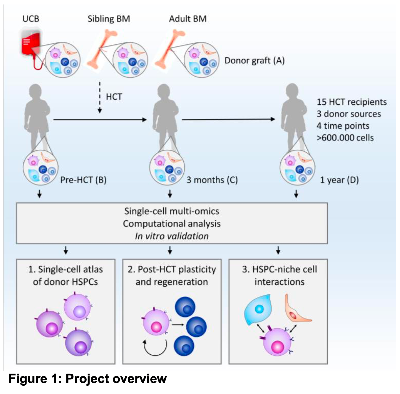 Single-cell multiomics to dissect the impact of donor source on ...