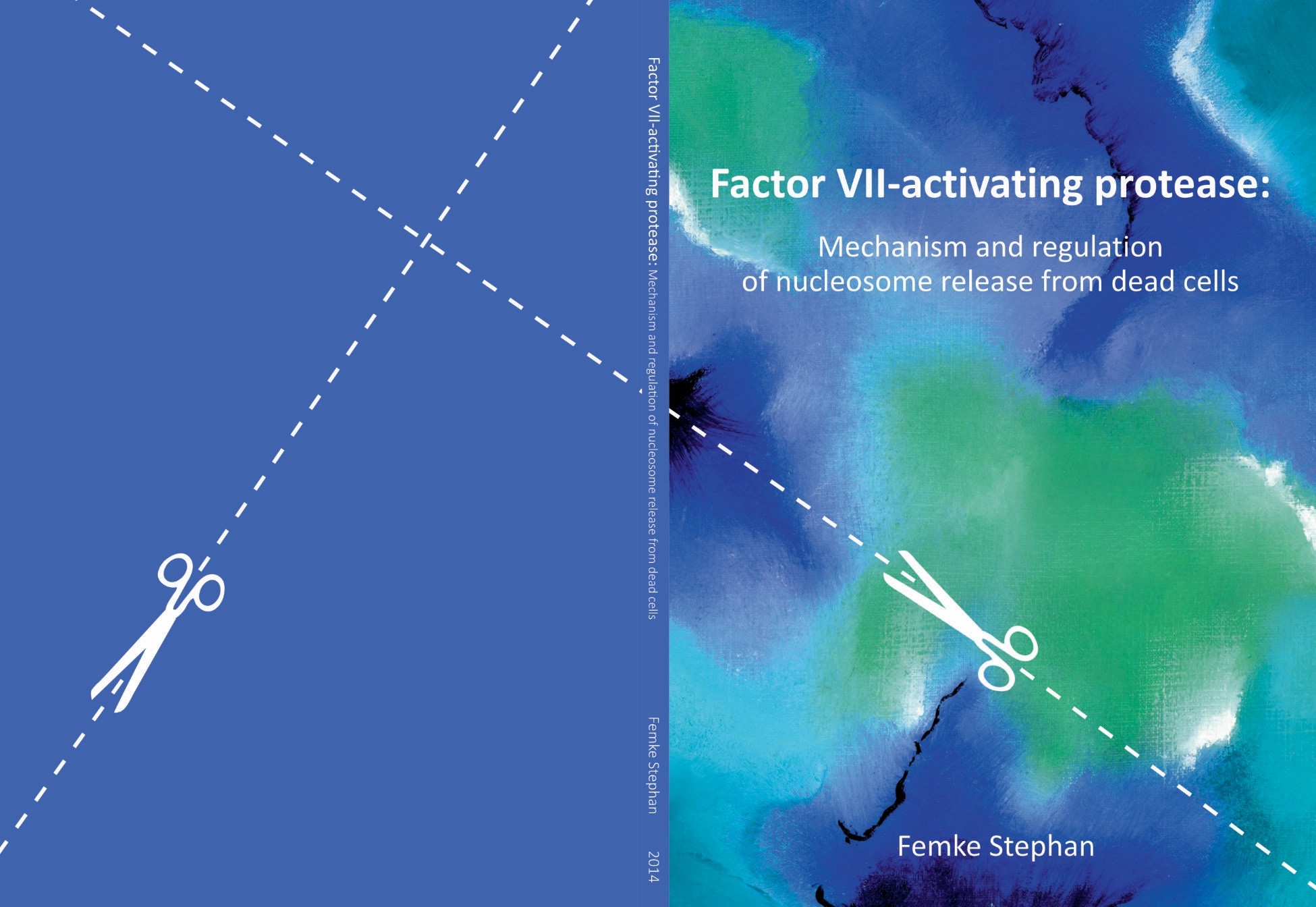 Activation and inhibition of Factor VII-activating protease.