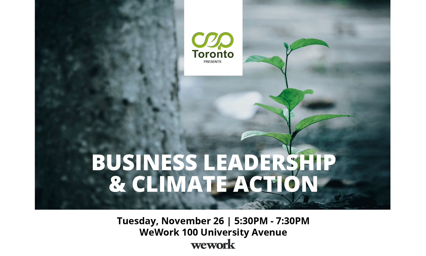 Business Leadership & Climate Action