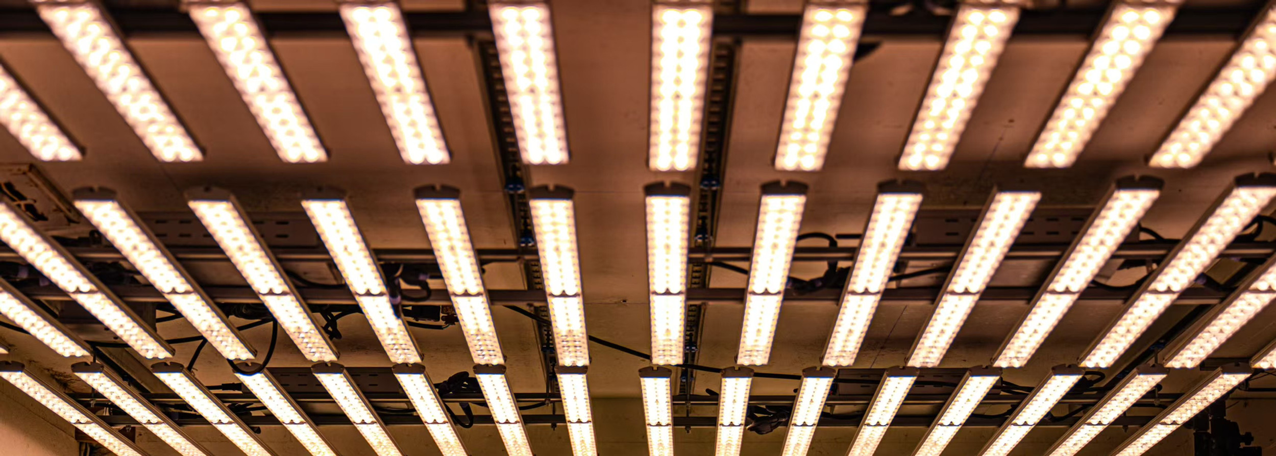 LED LIGHTS | ESTTECH INC.