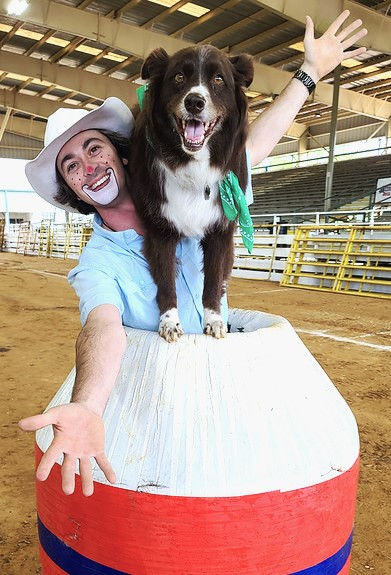 border collie rodeo