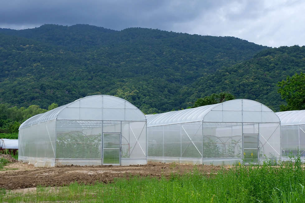 Low, Medium and High-tech Greenhouses