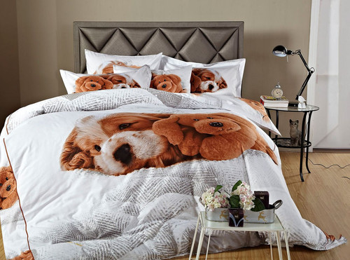 Executive Bark Suites | Test