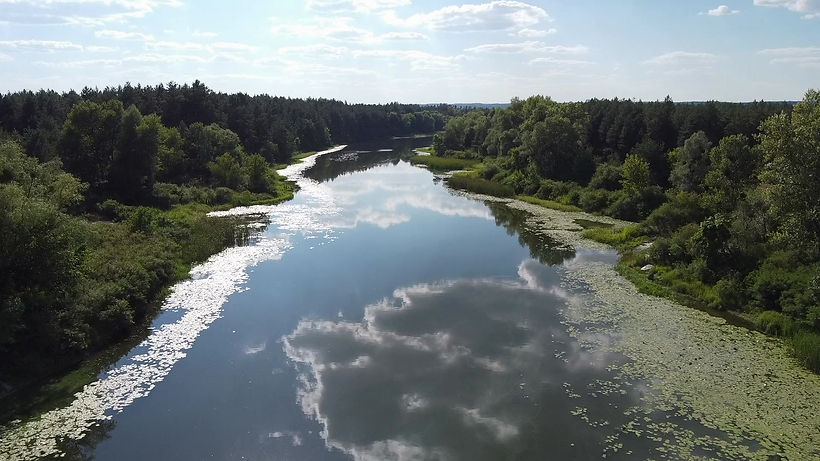 HOME | FreebirdMeditations